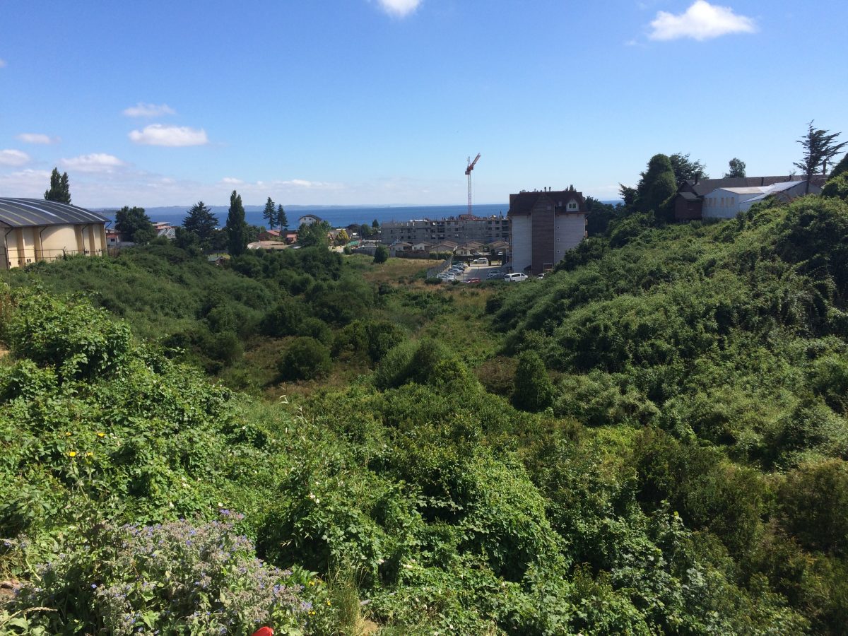 Bienes Nacionales renovó la concesión para la concreción del parque ...