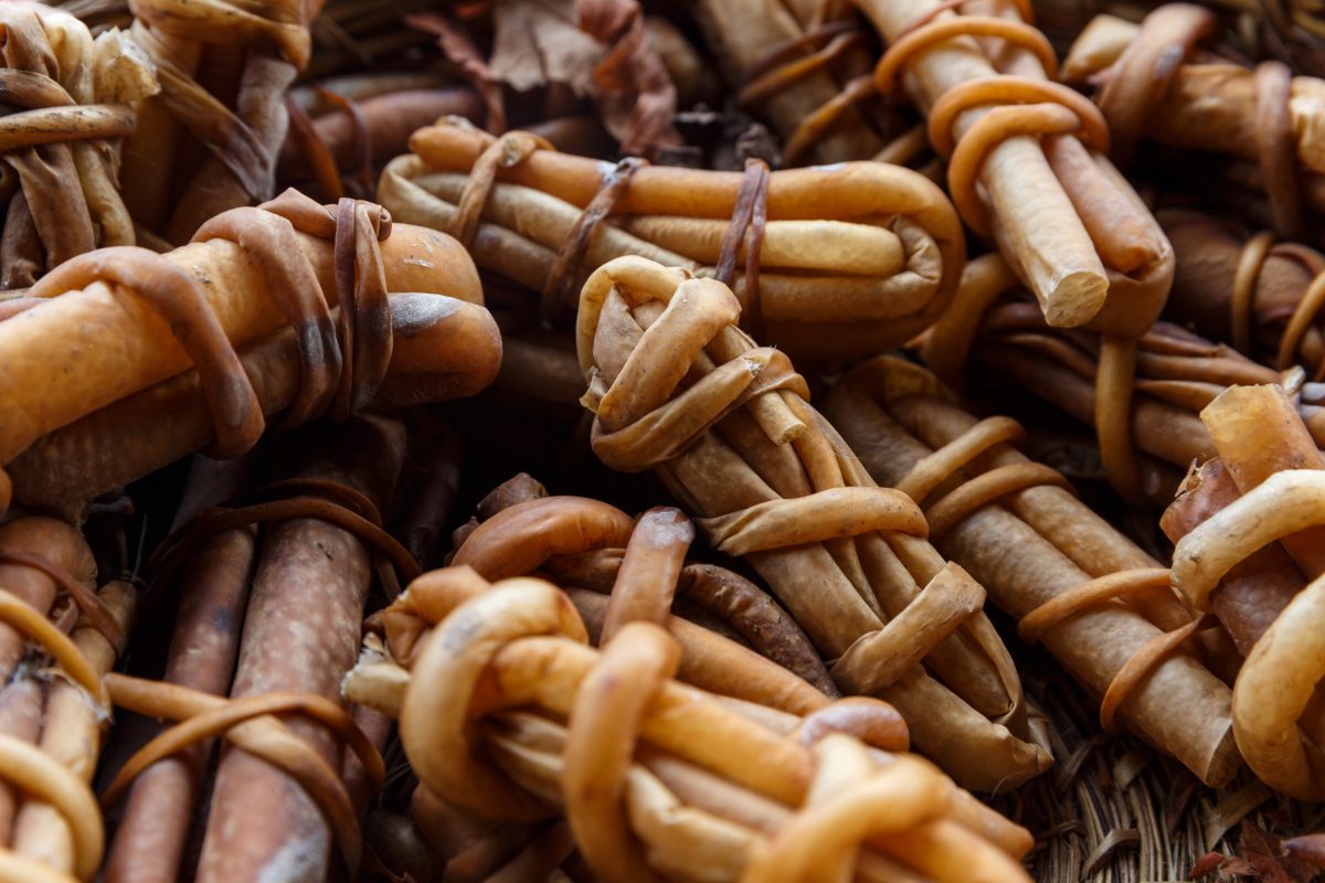 Cochayuyo combate enfermedades al corazón - Diario Puerto Varas