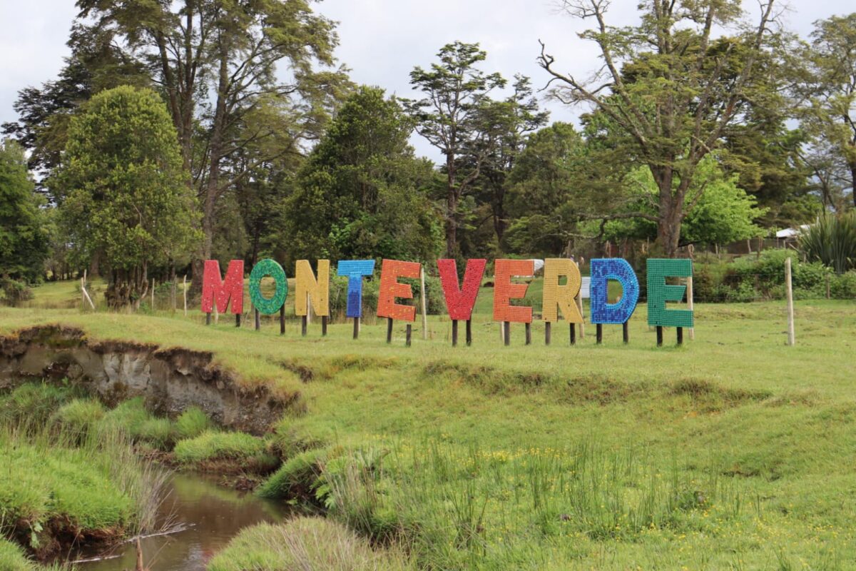 Monte Verde: nominación como Patrimonio Mundial de la UNESCO